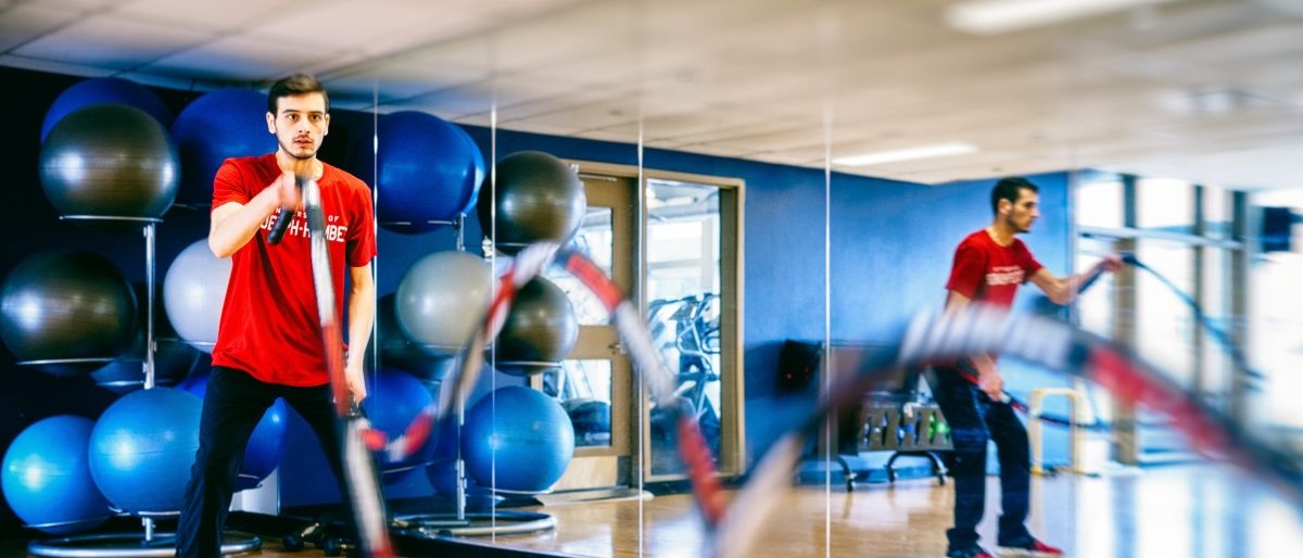 Kinesiology - High School Student - Kinesiology | University of Guelph ...