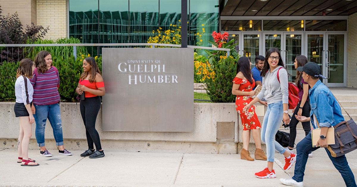 Undergraduate Programs | University of Guelph-Humber